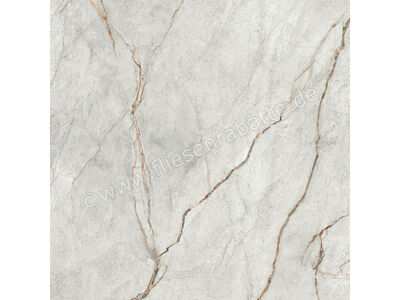 Imola Ceramica The Room Grey Roots Bodenfliese 120x120cm GRE RO6 120 LP