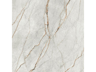 Imola Ceramica The Room grey roots GRE RO Bodenfliese 120x120cm GRE RO6 ...