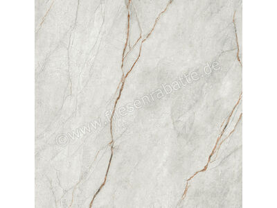 Imola Ceramica The Room grey roots GRE RO Bodenfliese 120x120cm GRE RO6 ...