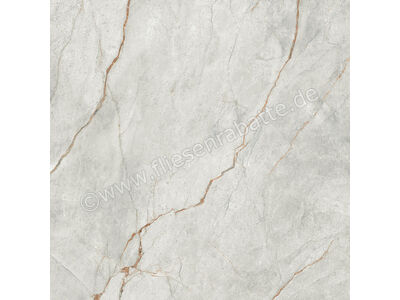 Imola Ceramica The Room grey roots GRE RO Bodenfliese 120x120cm GRE RO6 ...