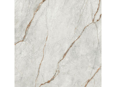 Imola Ceramica The Room Grey Roots Bodenfliese 120x120cm GRE RO6 120 RM ...