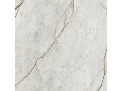 Imola Ceramica The Room Grey Roots Gre Ro Bodenfliese 120x120cm GRE RO6 ...