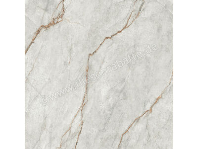 Imola Ceramica The Room Grey Roots Gre Ro Bodenfliese 120x120cm GRE RO6 ...