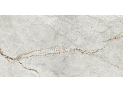 Imola Ceramica The Room Grey Roots Bodenfliese 60x120cm GRE RO6 12 LP