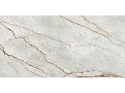 Imola Ceramica The Room grey roots GRE RO Bodenfliese 60x120cm GRE RO6 ...