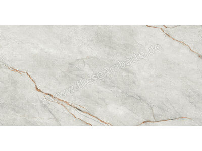 Imola Ceramica The Room grey roots GRE RO Bodenfliese 60x120cm GRE RO6 ...