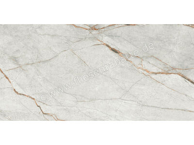 Imola Ceramica The Room grey roots GRE RO Bodenfliese 60x120cm GRE RO6 ...