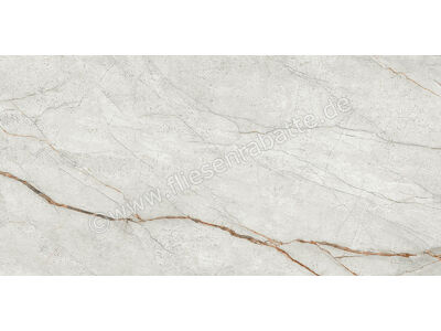 Imola Ceramica The Room Grey Roots Bodenfliese 60x120cm GRE RO6 12 RM R9 A