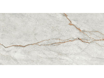 Imola Ceramica The Room Grey Roots Gre Ro Bodenfliese 60x120cm GRE RO6 ...