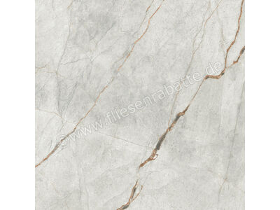 Imola Ceramica The Room Grey Roots Bodenfliese 120x120cm GRE RO6 120 LP